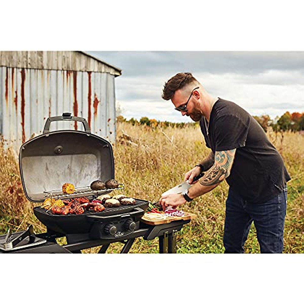 Napoleon PHANTOM TravelQ Portable PRO Propane Gas Grill - PRO285X-PHM - with Scissor Cart, Matte Black, Travel BBQ,