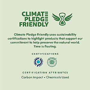 Amazon Aware Nourishing Body Cream with Vitamin E & Shea Butter, Vegan, Formulated without Fragrance, Dermatologist Tested, 6.7 fl oz