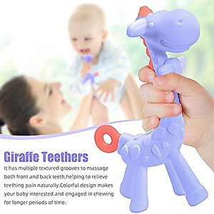 SHARE&CARE Baby Teething Toys for Girls and Natural Organic Fruit Feeder Pacifier/Baby Teether Chew Toys Fresh Food Feeder/ 1 Teethers and 1 Feeder with 3 Silicone Sacs(Purple)