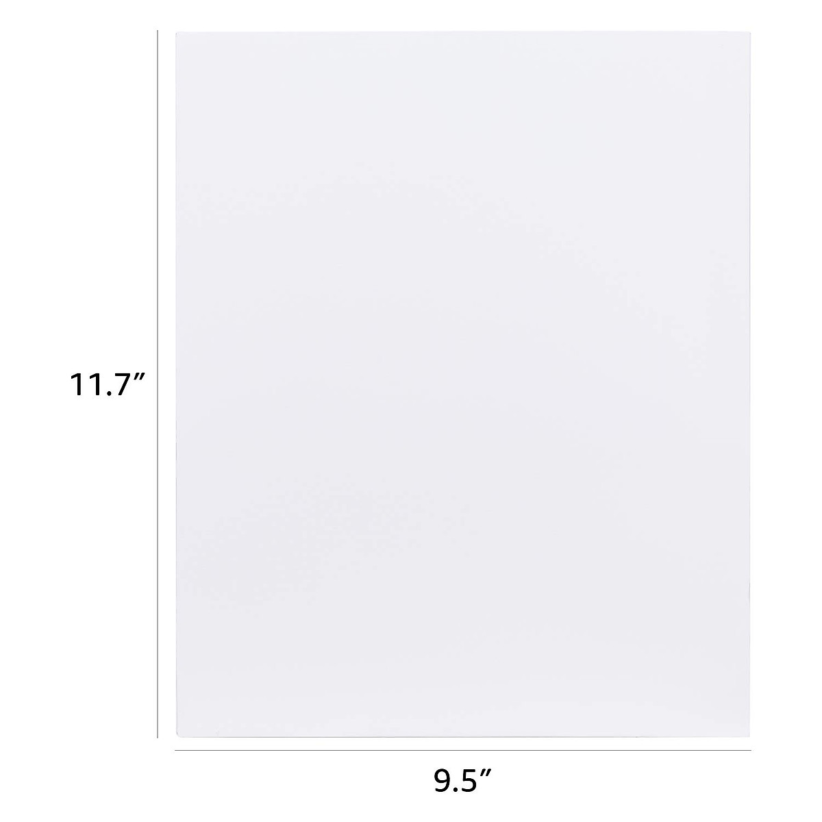 Amazon Basics Two-Pocket Folder, 25 set