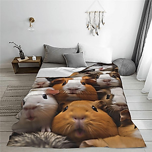 Turamurra Cute Guinea Pig Blanket Gifts for Kids,Funny Guinea Pigs Pet Print Throw Blanket,Soft Flannel Plush Quilt for Bedding Sofa Couch Chair Room Valentines Decoration 50"x60"