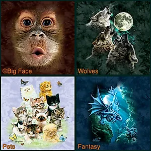 The Mountain mens Dog Selfie T Shirt, Blue, Medium US