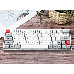 EPOMAKER SKYLOONG SK64 64 Keys Hot Swappable Mechanical Keyboard with RGB Backlit, PBT Keycaps, Arrow Keys for Win/Mac/Gaming (Gateron Optical Brown, Grey White)