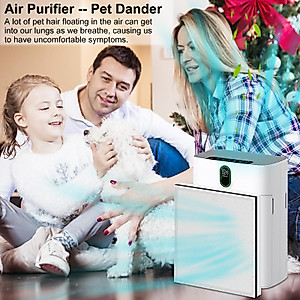 2 Pack HY4866 Air Purifier Replacement Filter for Morento Enhanced Version