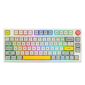 EPOMAKER TH80 Pro 75% Hot Swap RGB 2.4Ghz/Bluetooth 5.0/Wired Gaming Keyboard, with 4000mah Battery, PBT Keycaps, Knob Control for Windows/Mac PS5 PS4 Xbox