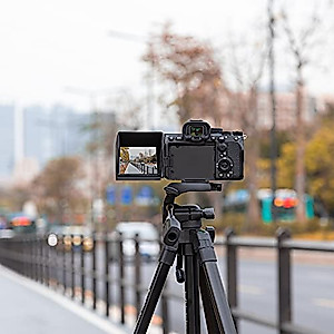 SmallRig Screen Hood Sun Hood Sunshade for Sony Alpha 7S III (A7S III A7S 3) / Alpha 7C (A7C) / ZV-1F / ZV-1 (ZV 1) / FX3 Camera - 3206