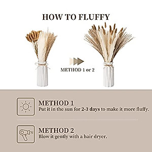 Wemk Pampas Grass with Vase Included, 90Pcs Dried Pampas Grass Decor, Natural Dried Pampas Grass, Fluffy Pampas Grasses for Home Decor Wedding Boho Decor