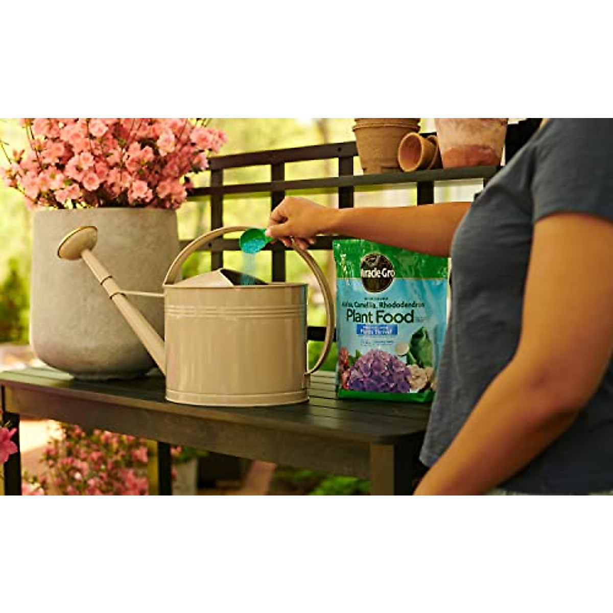 Miracle-Gro Water Soluble Azalea, Camellia, Rhododendron Plant Food - Fertilizer for Acid-Loving Plants & Flowers, 5 lb.
