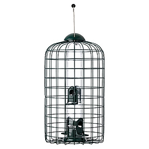 More Birds Squirrel-X Bird Feeder, Cage Tube Feeder Keeps Squirrels Out, 4 Feeding Ports, 1.5 lb Seed Capacity