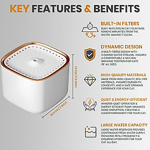 BESTIA Jack Cat Water Fountain - 67oz/2.5L Noise-Free, LED Light, Carbon Absorption Filter, Pet Water Fountain for Cats & Small Dogs (White, Polypropylene)