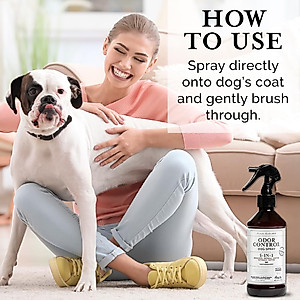 Rosen Apothecary 5-in-1 Odor Control Dog Spray, 240ml/8 fl oz, Spray for Dogs with Odor Issues, Oatmeal, Lavender and Tea Tree Oil, Detangles Fur