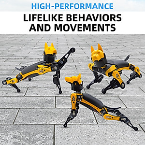 Petoi Robot Dog Bittle Robotics Kit (Construction) | Smart Robot Kit, Programmable Open Source, STEM & Robotics Education, App Control Intelligent Robot for Programmer, Developers, Geeks, & Students