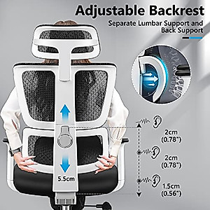 Primy Ergonomic Mesh Office Chair - High Back Computer Chair with Adjustable Lumbar Support and 360 Degree Swivel (White)