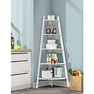 MiTechPro 63" Tall Corner Shelf, 5 Tier Industrial Corner Bookshelf Bookcase Rustic Corner Ladder Shelf Plant Stand for Living Room, Kitchen, Home Office