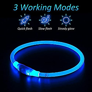 iTayga LED Dog Collar USB Rechargeable Light Up Dog Collar Adjustable TPU Pet Collars for Large Medium and Small Dogs (Blue)