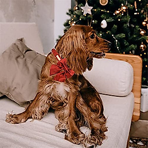 CXDTBH Red Silk Dog Collar Puppy Collar with Bowtie Adjustable Dog Collar Pet Gift for Small Medium Large ( Size : M )