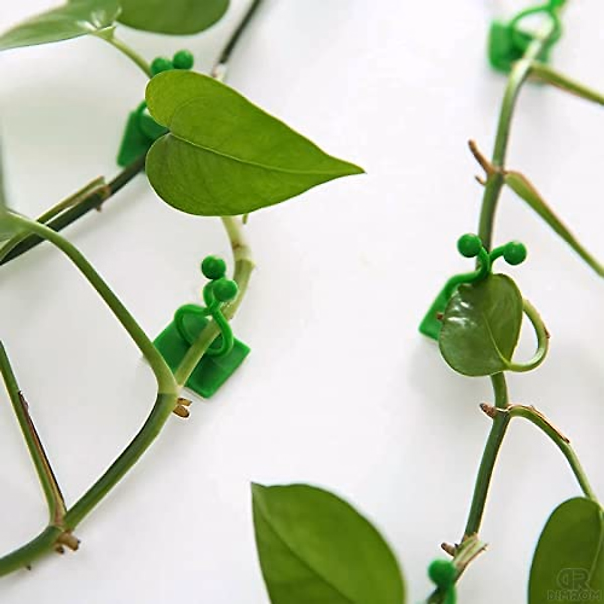 110Pcs Wall Plants Climber Vine Sticky Wall Clips Green 3 Different Size Wall Fixture Clips | Plant Fixture Cable Clips Self-Adhesive Plant Clips Fixing Hook Wall Vine Supports Traction Wall Clip
