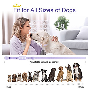 Bousnic Shock Collar for Dogs - Waterproof Rechargeable Dog Electric Training Collar with Remote for Small Medium Large Dogs with Beep, Vibration, Safe Shock Modes (8-120 Lbs) (Purple)