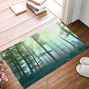 ALAGEO Fall Doormat Sunshine Teal Green Forest Door Mat Welcome Mats Entrance Floor Mat Trees Mist Fall Seasonal Harvest Thanksgiving Floor Mat Outdoor Indoor Runner Rugs Non-Slip Floor Mat 16"x24"