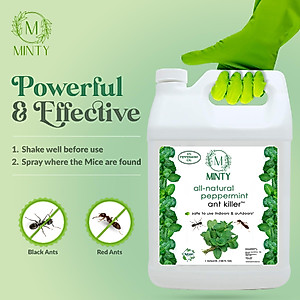 Minty Ant Killer - Natural 5% Peppermint Essential Oil Spray for Bugs, Ants and Insects - Safe for Indoor & Outdoor Use Repellent Spray 128 Fl Oz Gallon Trigger Sprayer