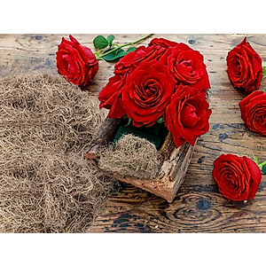 Royal Imports Preserved Natural Spanish Moss, Fresh Dried Shredded Loose Chunks, 2 LB Bulk Case