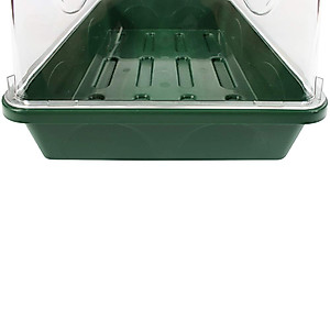 EarlyGrow 93763 Medium Seed and Herb Domed Propagator with Vented Side Height Extension, Green