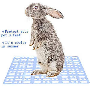 Hamiledyi Rabbit Cage Mats Small Animal Plastic Feet Pads Floor Mat for Pet Cats Dogs Bunny Hamster Rat Chinchilla Guinea Pig, 4 Pcs