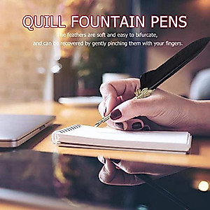 Calligraphy Feather Pen Set- Vintage Writing Feather Quill Pen Ink Set- 5pcs Metal Pen Nib Wedding Gift Set (Compass Box Feather Pen)