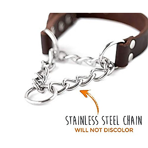 Mighty Paw Leather Martingale Dog Collar | Premium No Pull Dog Collar Martingale Collar for Dogs, Stainless Steel Chain, Limited Chain Cinch Training Collar. for Large, Medium and Small Dogs (Brown)