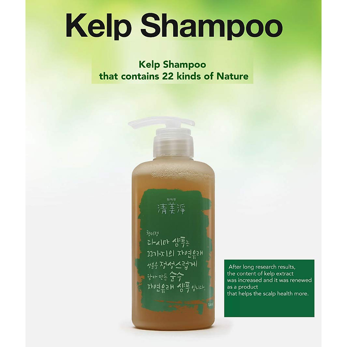[ChungMiJung] Kelp Small Scalp Shampoo Dandruff Shampoo 500ml-organic 18 Ingredients from Nature for Sensitive Skin Korean Skincare,16.91 Fl oz (Pack of 1)
