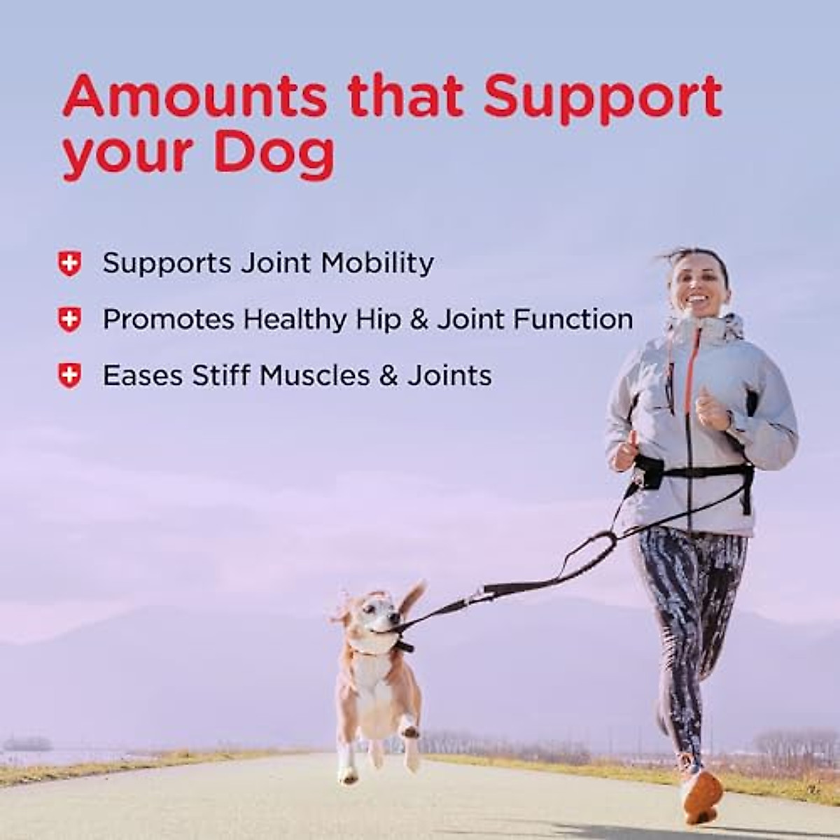 Nutri-Vet Hip & Joint Biscuits for Dogs | Tasty Dog Glucosamine Treat & Dog Joint Supplement | LARGE Biscuit with 500mg Glucosamine | 4 LB Bag