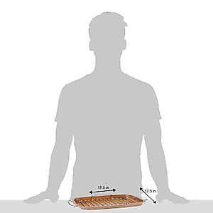 Heavy Gauge, Carbonized Steel, Commercial Kitchen Grade Copper Non-Stick Roaster with Chrome Floating Rack for 22 lb Turkey by Elle Gourmet