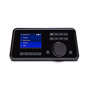 Grace Link Internet Radio Tuner and Streaming Music Player with Chromecast Built-in: Stream Hi-Fi Music to Your Stereo System