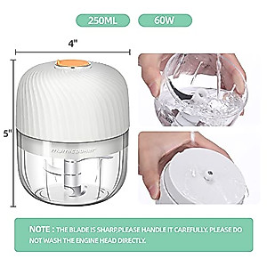 Electric Garlic Chopper, Mini Portable Veggie Chopper, 250ML Garlic Grinder Masher Onion Chopper, Blender to Vegetable, Wireless Food Processor for Ginger, Chili, Fruit, Meat, etc