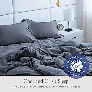 BELADOR Viscose Bamboo Sheets Queen - Silky Luxury Bed Sheets Cooling Sheets Set - Soft Satin Bed Sheet Set - 16 Inch Deep Pocket - Hotel Sheets Bedding Set Flat Sheet + Fitted Sheet + 2 Pillowcase