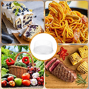 Nuanchu 24 Pieces 8 Inch Disposable Cake Containers with Lids Plastic Serving Tray Clear Platters with Clear Lids Round Disposable Cake Holder for Storing Party Takeout Food Catering Display (White)