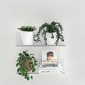 FEMELI Clear Acrylic Floating Wall Shelf for Figures Collections Plant Photo in Bedroom Living Room Office,Wall Mounted Storage Shelf 12 Inch,2 Pack