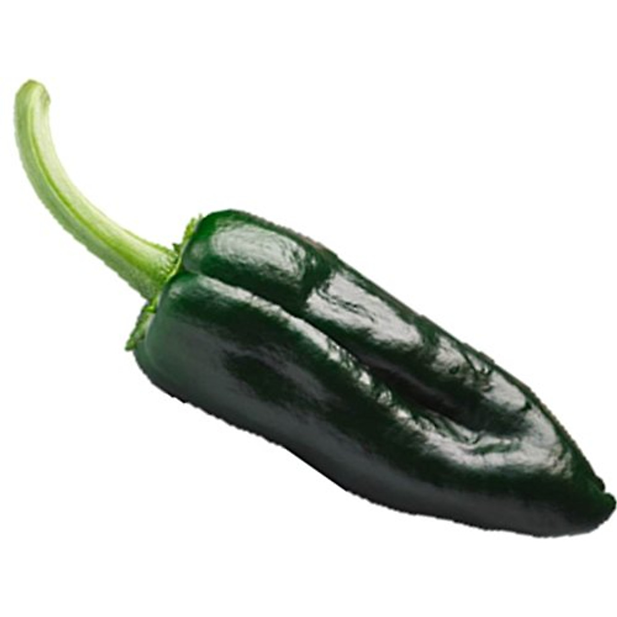 Ancho Poblano Pepper Seed - B60 (65 Seeds, or 1/2 Gram)