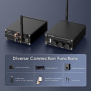 Fosi Audio BL20A 200W Bluetooth 5.0 Home Audio Stereo Amplifier Hi-Fi Mini Class D Integrated Amp with U-Disk/3.5MM AUX/RCA Input and Remote Control for Home Passive Theater Speaker with Power Supply