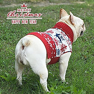 UETZLTB Dog Christmas Sweater Soft Warm Fall Winter Turtleneck Knitted Puppy Clothes Cute Reindeer Ugly Xmas Doggy Sweatshirts Vest Pet Clothing for Small Medium Large Dogs Cats Boy Girl(Red,XS)