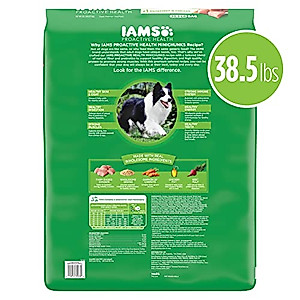 IAMS Adult Minichunks Small Kibble High Protein Dry Dog Food with Real Chicken, 38.5 lb. Bag