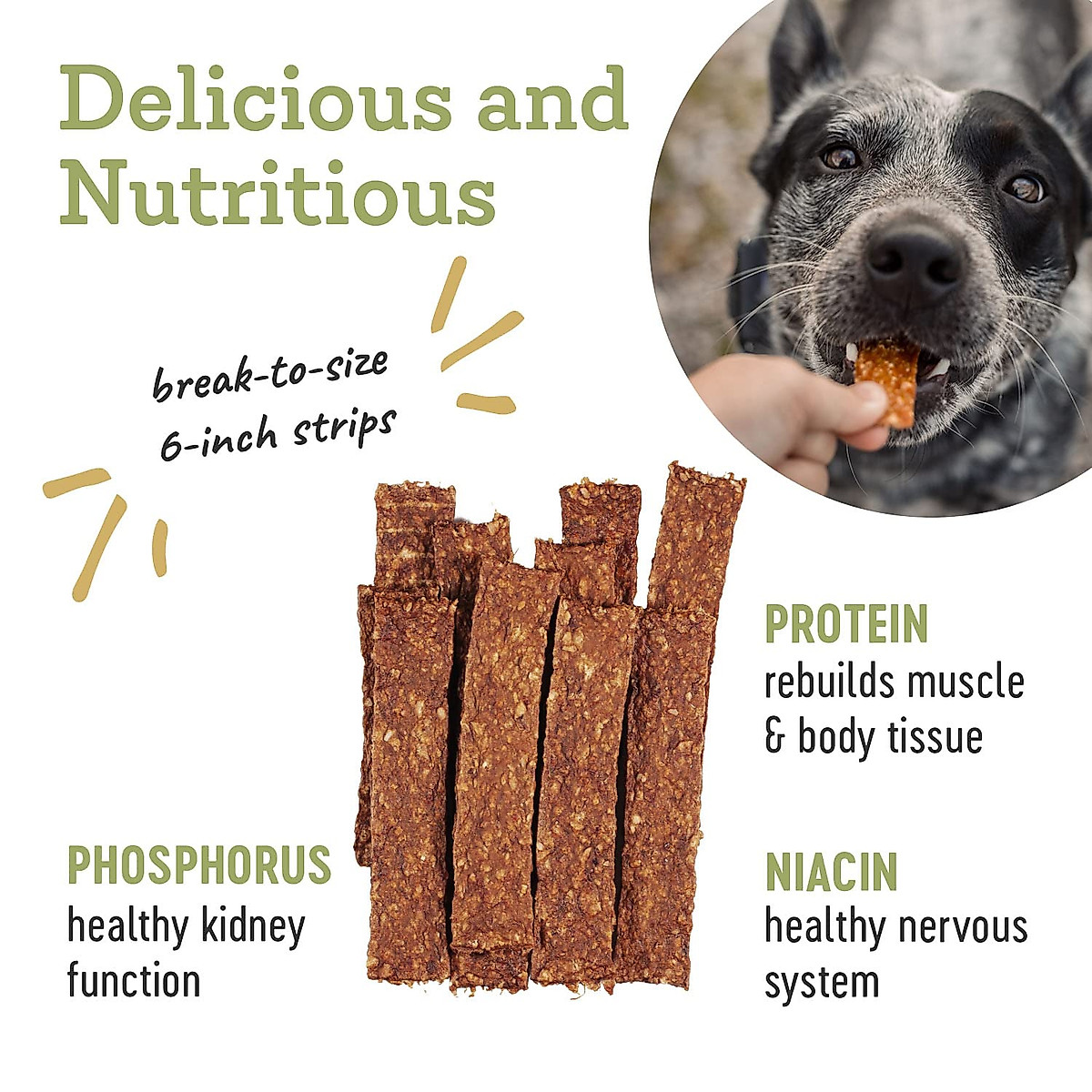 Farm Hounds Turkey Strips for Dogs, Natural & Healthy Dog Jerky Treats, Dog Chews & Snacks for Training & Rewarding, Made in USA, Turkey Strip Treat, 4.5oz