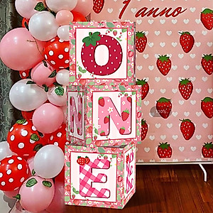 Strawberry Balloon Boxes 1st Birthday Party Supplies Strawberry Backdrop One Birthday Balloon Blocks Decorations for Baby Girl First Birthday Strawberry Party Decorations Supplies