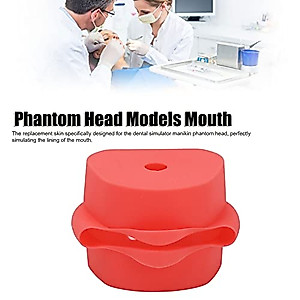 Oral Simulator Mannequin Head, Denist Simulator Manikin Phantom Head Replacement Skin Soft Silicone Removable Denist Model Accessory Red Skin Simulator for Denist Education