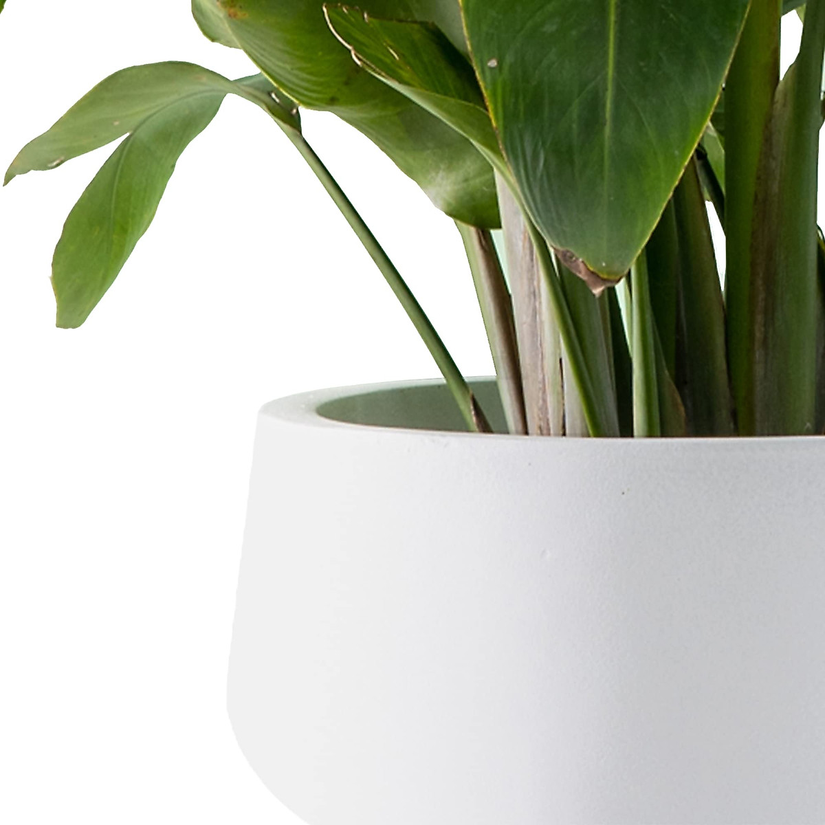 Kante 21.6",16.9",and 12.5" Dia Round Pure White Elegant Planters (Set of 3), Outdoor Indoor Garden Plant Pot with Drainage Hole and Rubber Plug for Home & Patio