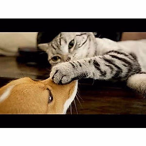 Dog Joint Supplement Chews - Pets Turmeric Joint Health - for Dogs and Cats - Advanced Complex - pet glucosamine - 3 Bottles (180 Tablets)