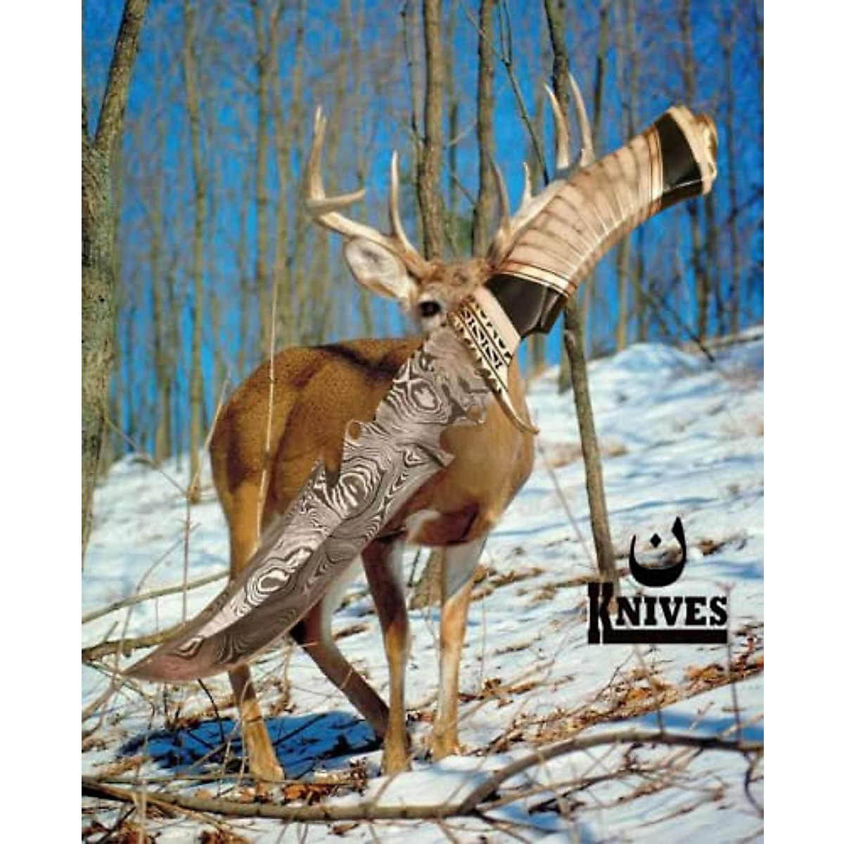 NoonKnives: Hand Made Damascus Steel Collectible Bowie Knife Handle Camel Bone with Bull Horn (Black and White)