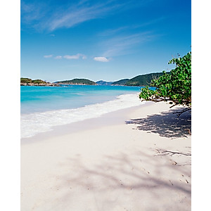 Posterazzi US Virgin Islands St. John Cinnamon Bay Trees at the North Shore Poster Print, (29 x 36)