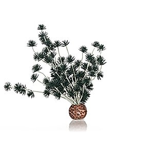 biOrb Bonsai Ball Black