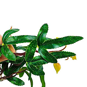 Woyrise Reptile Artificial Plants Terrarium Decor 0002-2, Amphibian Habitat Hideout Decor fit Bearded Dragon Crested Gecko Leopard Lizard Chameleon Ball Python Snake Frog